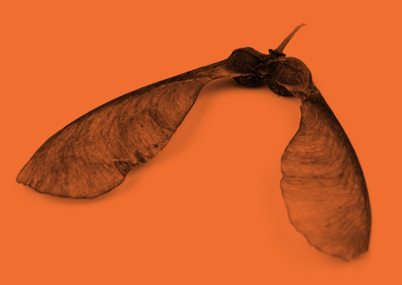 Samara Asesorías e Inversiones | Samara